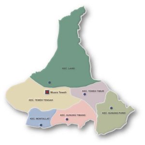 Sejarah Singkat Kabupaten Barito Utara, Awalnya Muara Teweh jadi ...